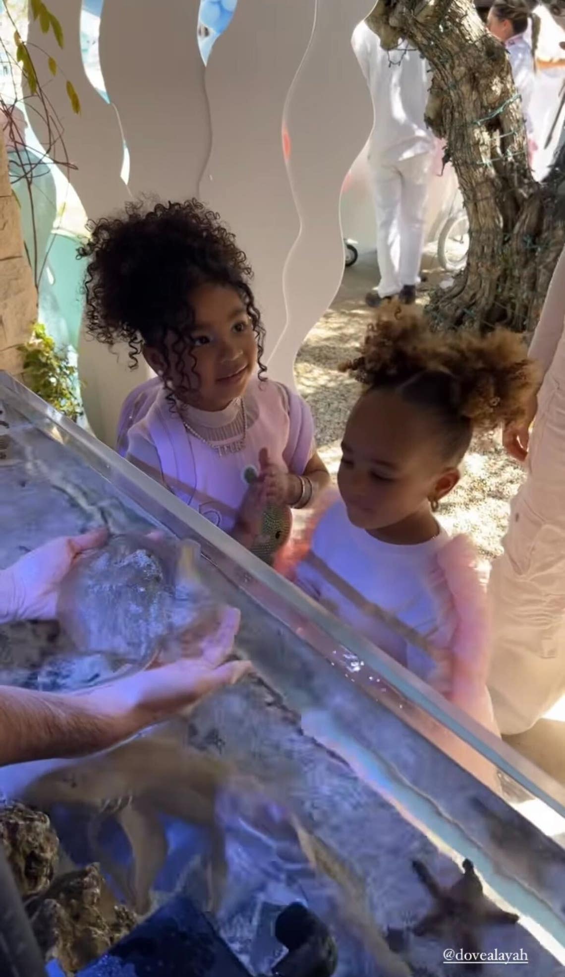 Inside True Thompson's Lavish 5th Birthday Bash