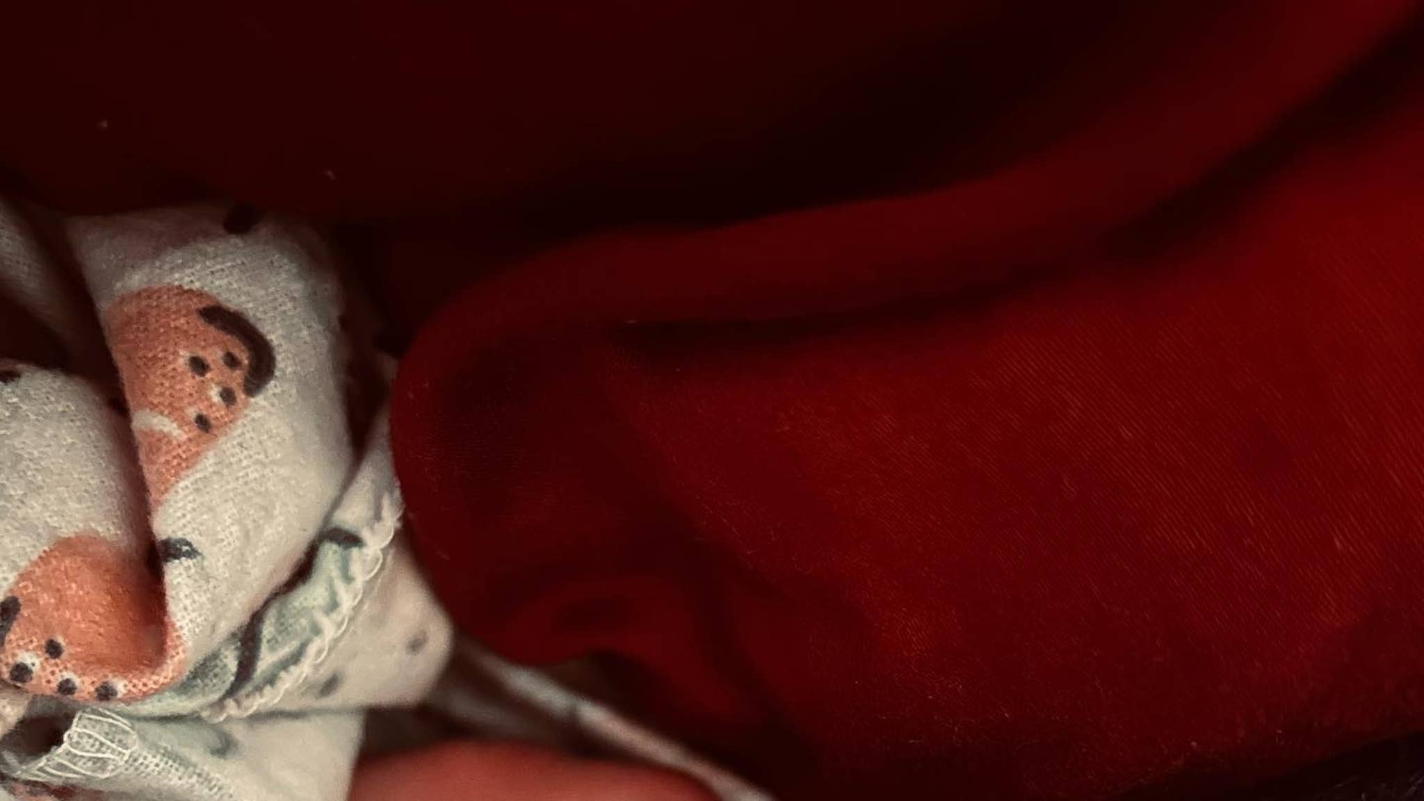 Celebrity Babies Born In 2024