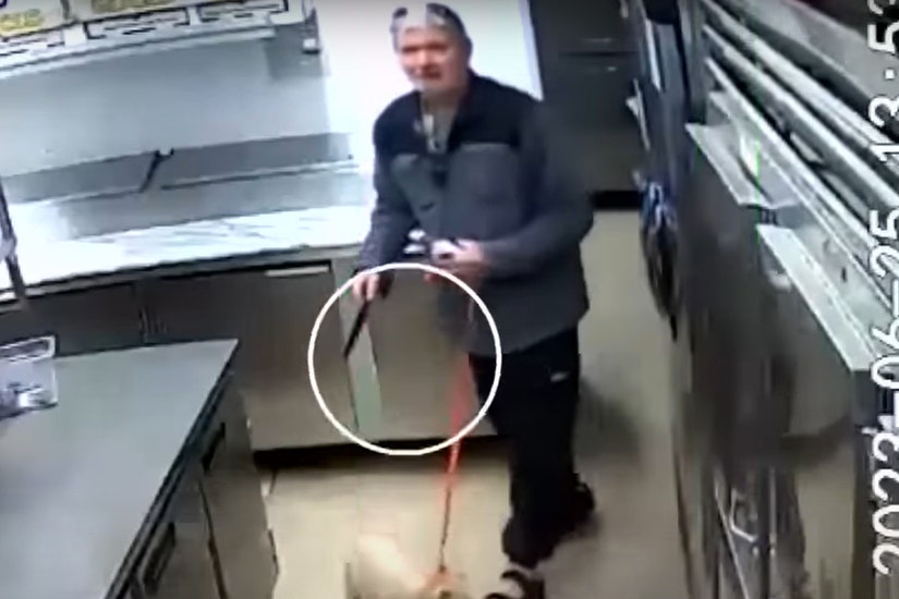 Grumpy Cat's Walk of Fame Star -- A Big Fat Feline Hoax!