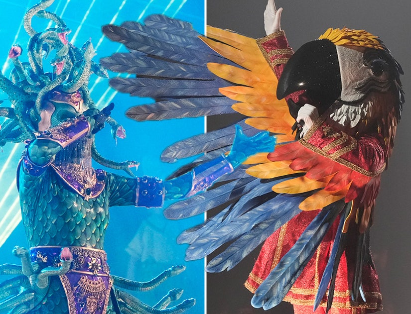 The Masked Singer Emotional Finale: Who Won, Who Are They, And Why ...